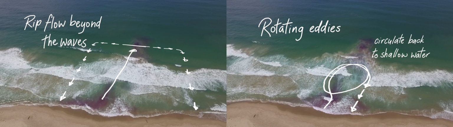 The Rip Current Survival Guide Rob Brander - Columbia University Press Blog