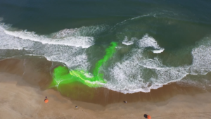 The Rip Current Survival Guide Rob Brander - Columbia University Press Blog